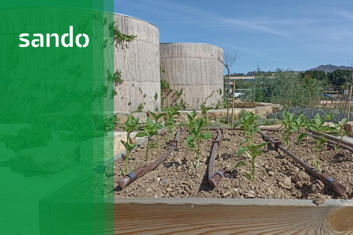 Sando Construcción finaliza Cultiva UMA para la Universidad