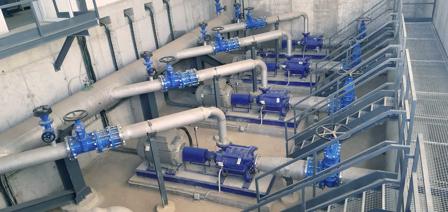 Distribución - Sando